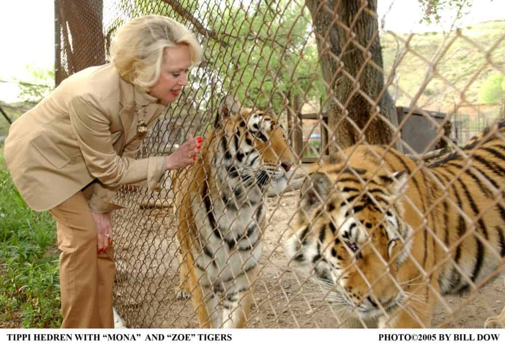 Tippi Hedren takes on Hitchcock! | Mr. Media® Interviews